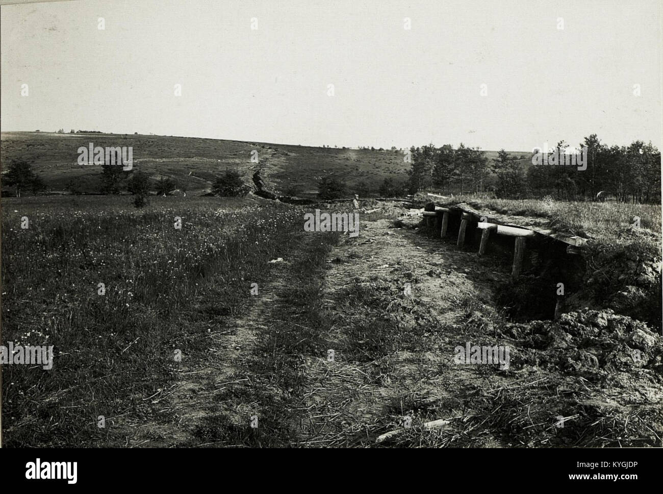 A photograph of a Russian rifle trench at Dolina, showing military ...