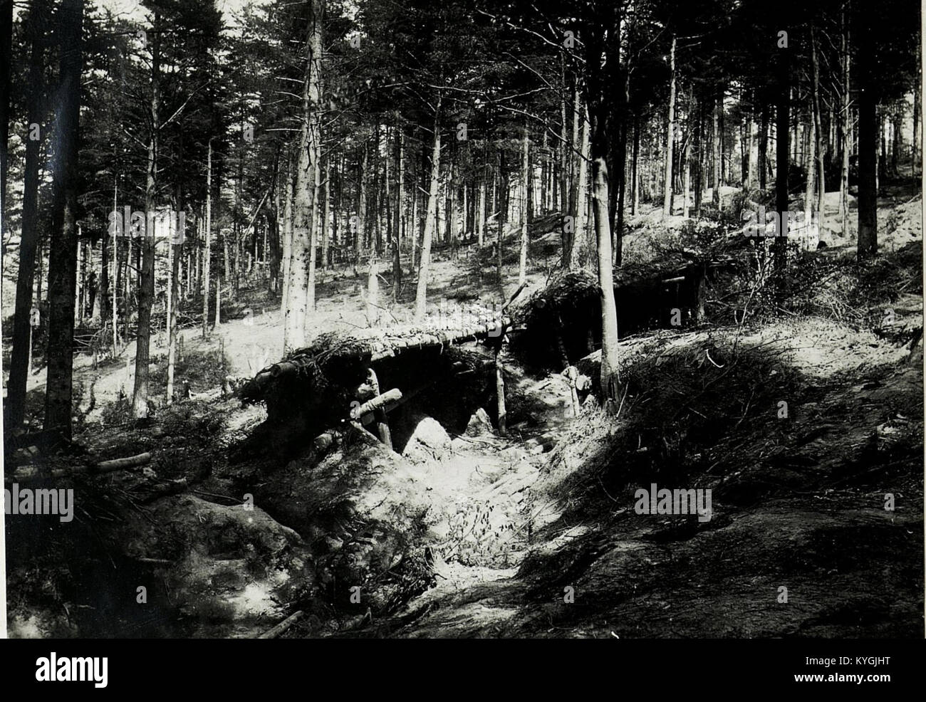 This image depicts a Russian trench in a forest, likely from the World ...