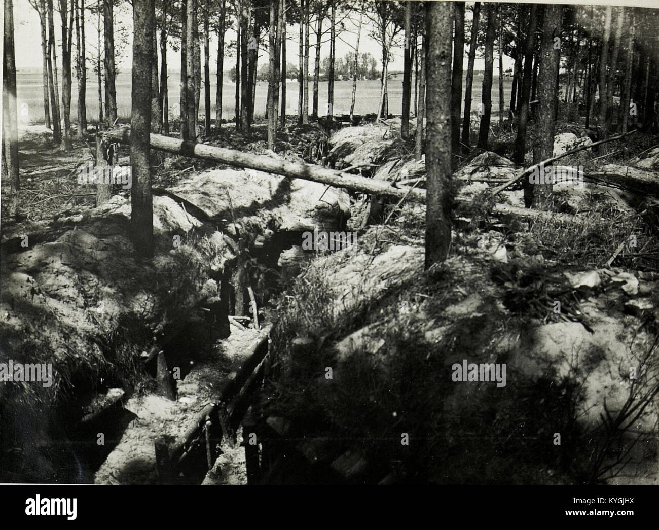 Trench warfare russia eastern hi-res stock photography and images - Alamy