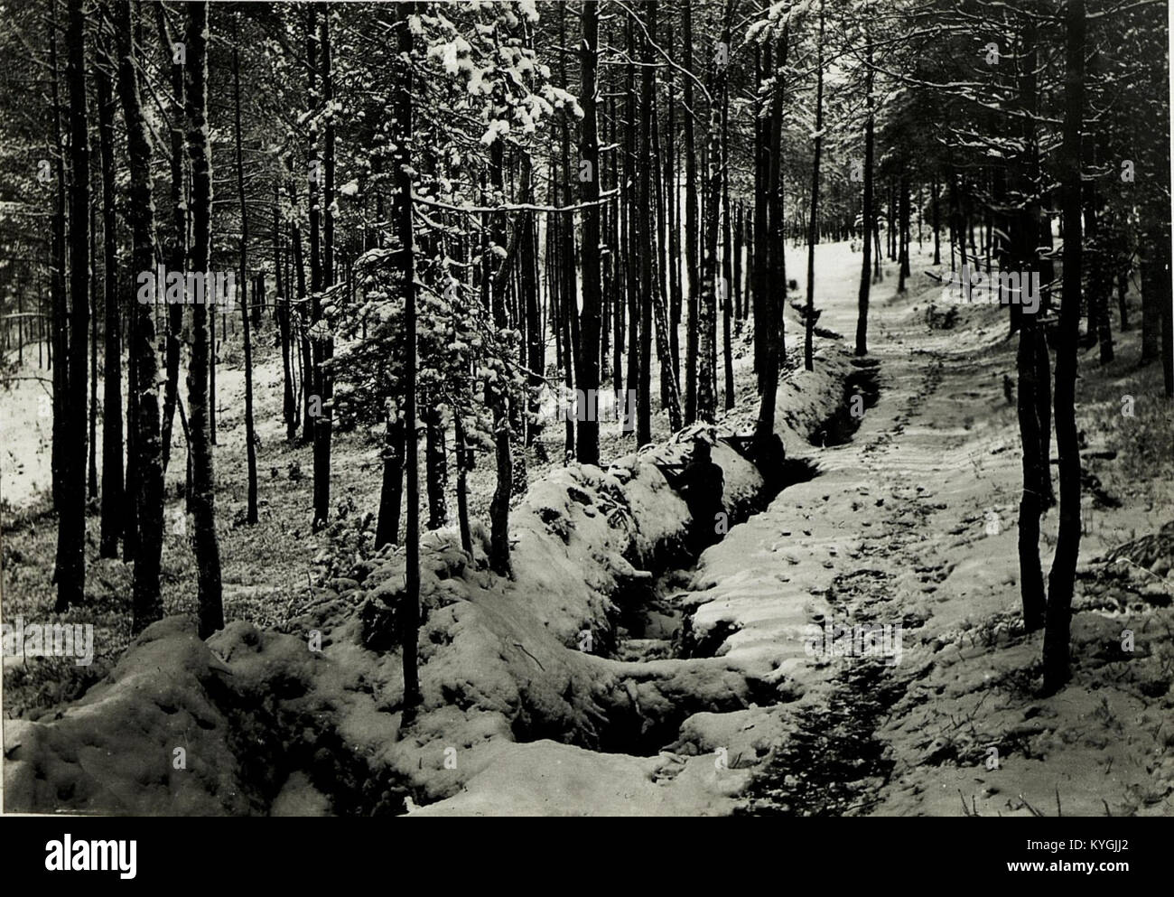 Historical photograph of a Russian trench northwest of Rajbrot, showing ...