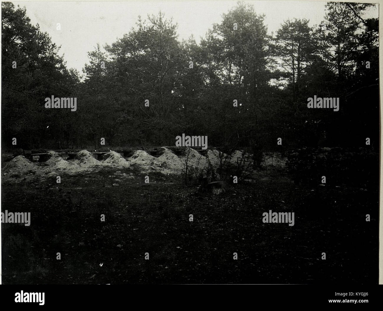 Wartime trenches hi-res stock photography and images - Alamy