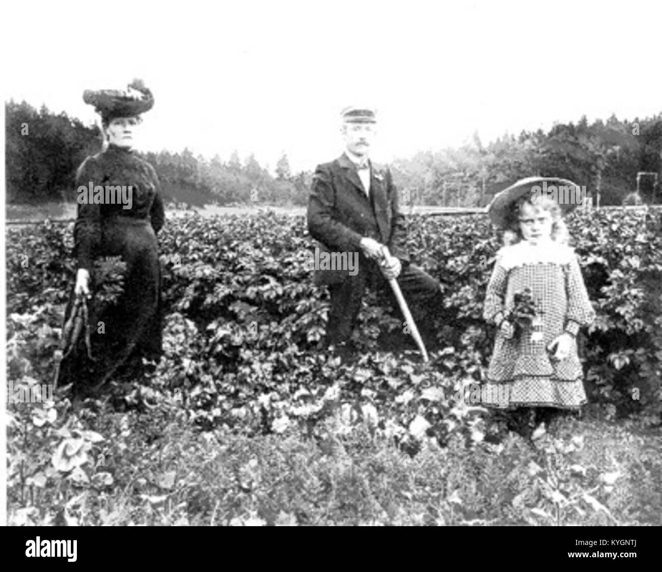 Söderbrunn, a location in Sweden, captured in a 1910 photograph. The ...