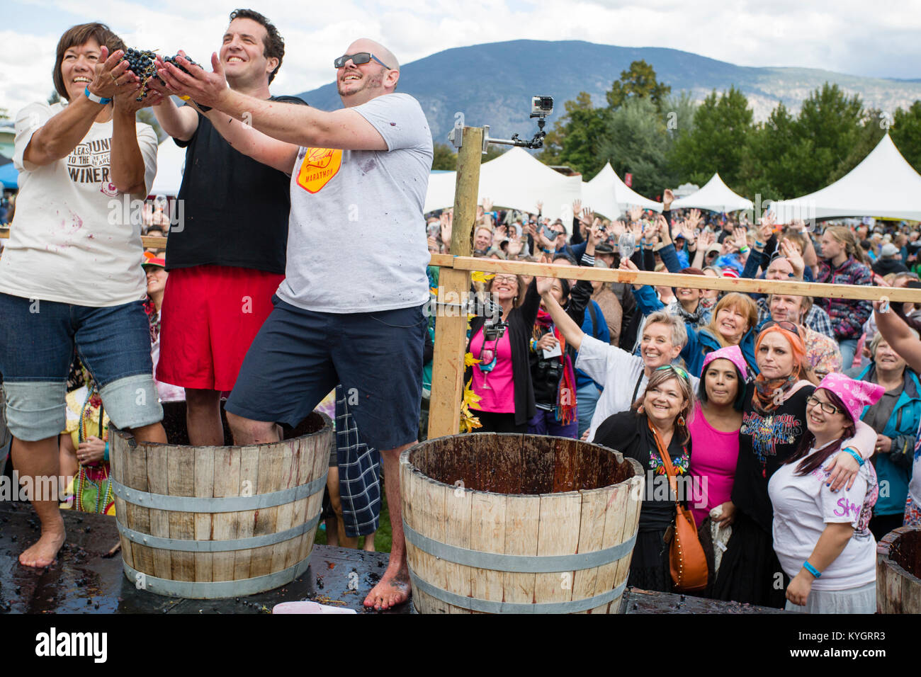Canadian comdeian Rick Mercher in the grape stomp celebrating at the ...