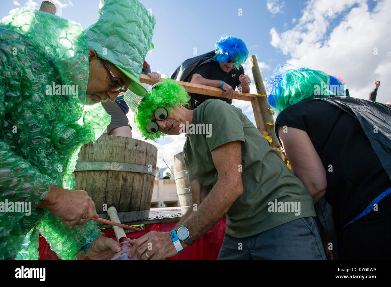 Competitors in the grape stomp celebrating at the annual Festival of ...