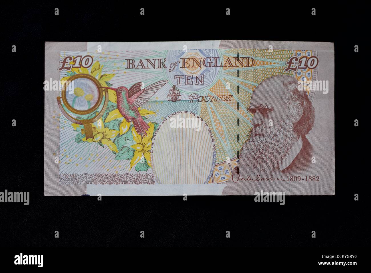 A portrait of Charles Darwin on the back of a £10 ten pound banknote ...
