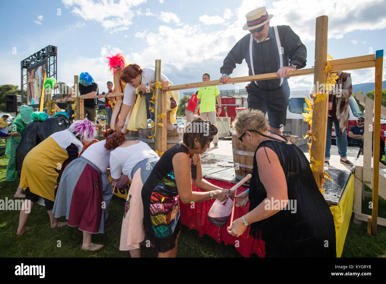 Competitors in the grape stomp celebrating at the annual Festival of ...