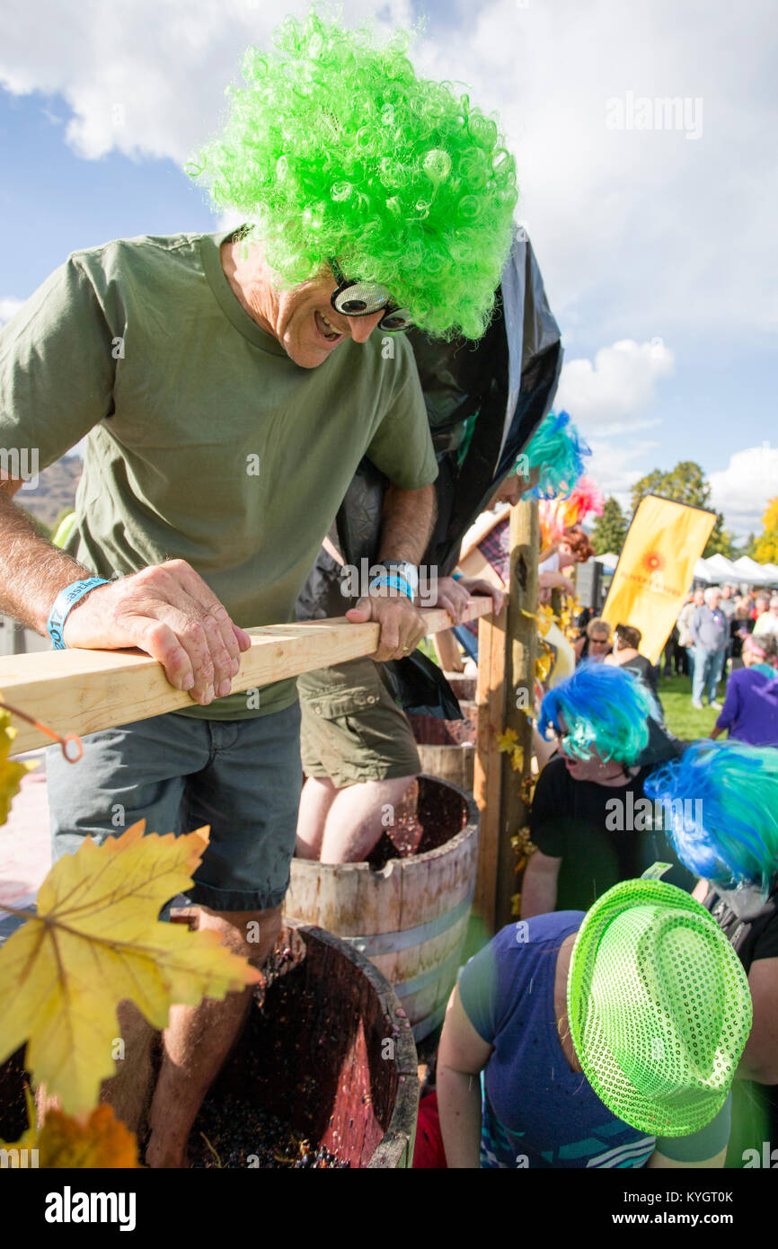 Competitors in the grape stomp celebrating at the annual Festival of ...