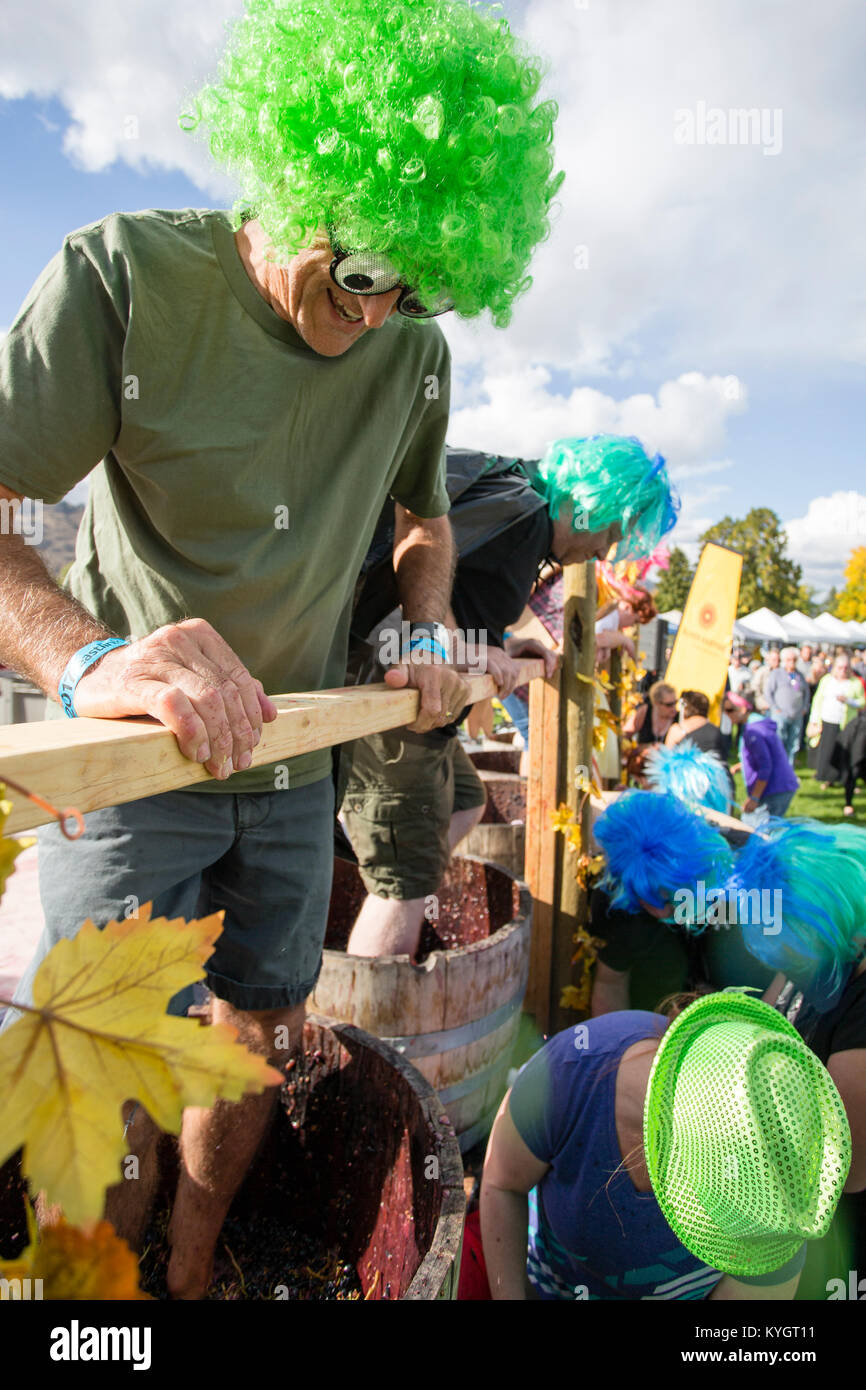 Competitors in the grape stomp celebrating at the annual Festival of ...