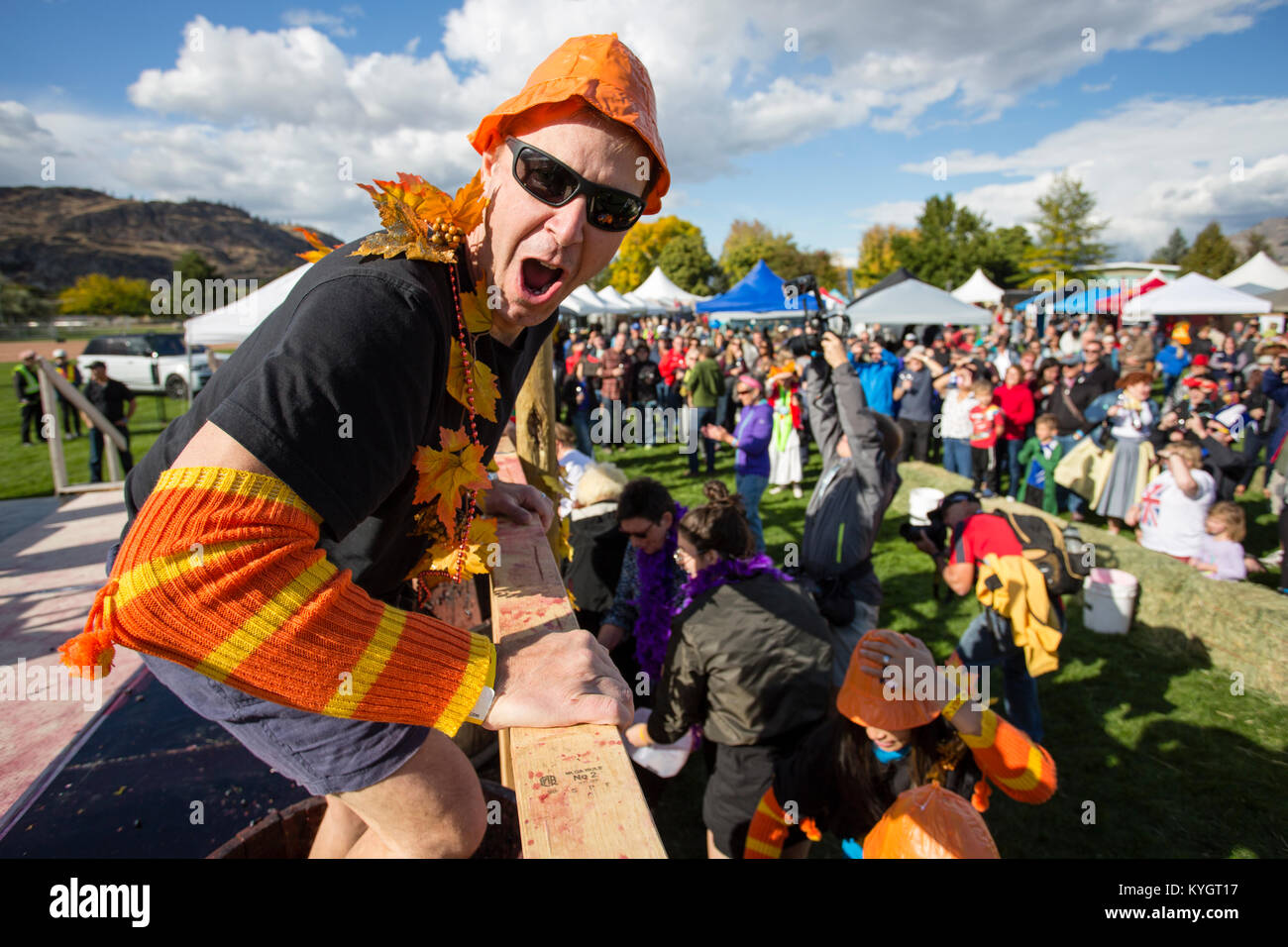 Competitors in the grape stomp celebrating at the annual Festival of ...