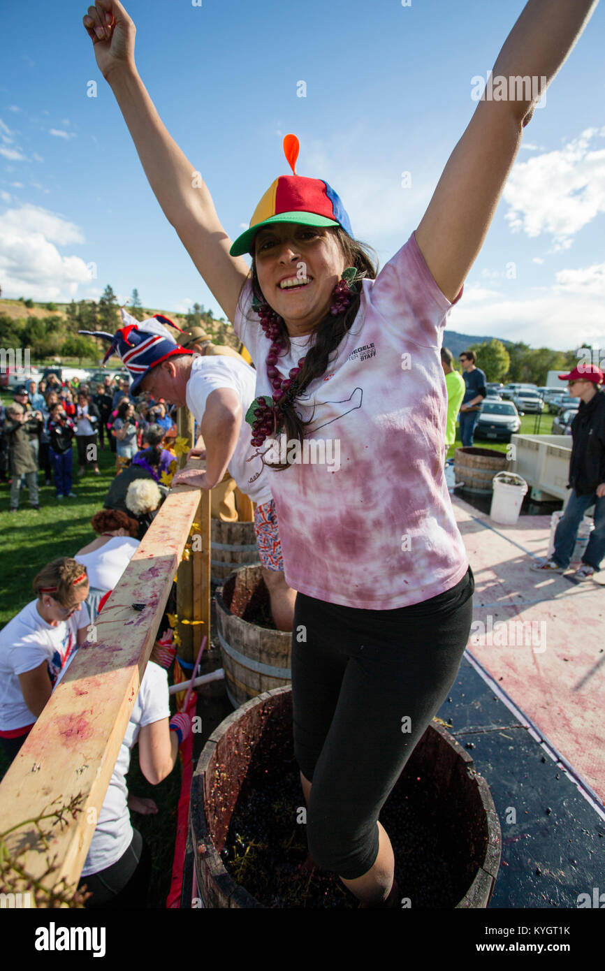 Competitors in the grape stomp celebrating at the annual Festival of ...
