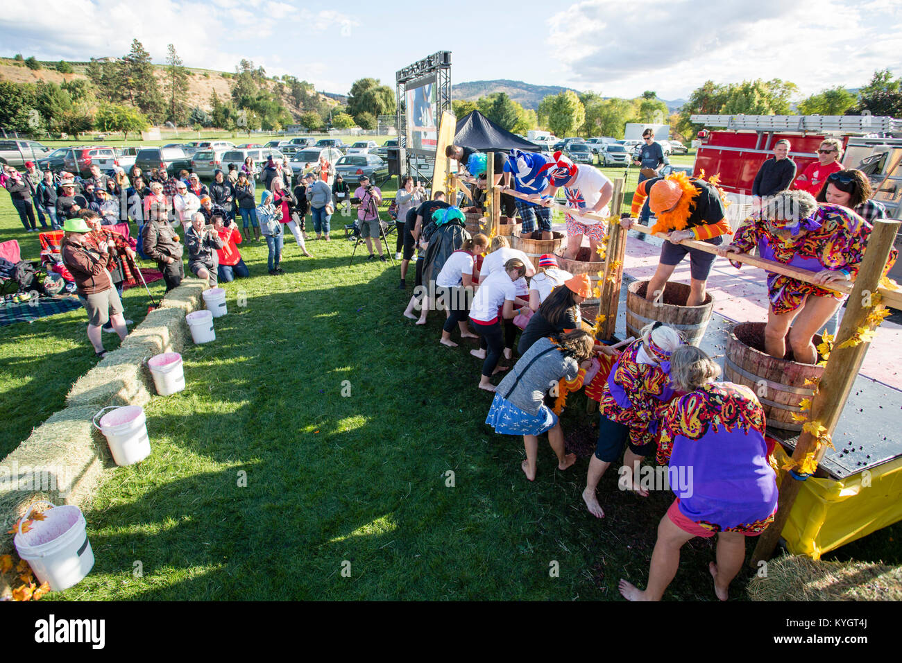 Competitors in the grape stomp celebrating at the annual Festival of ...