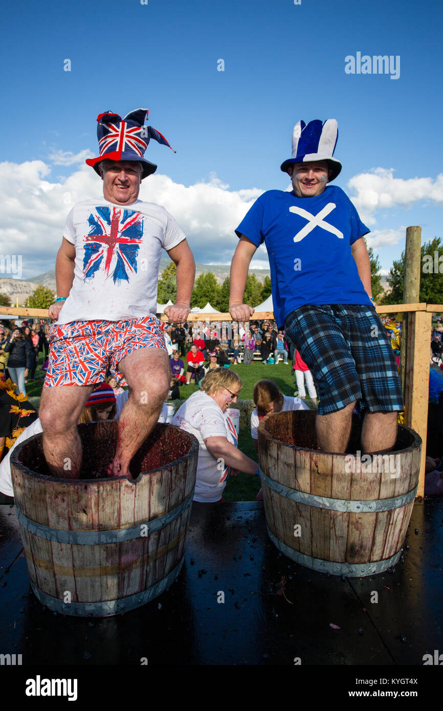Competitors in the grape stomp celebrating at the annual Festival of ...