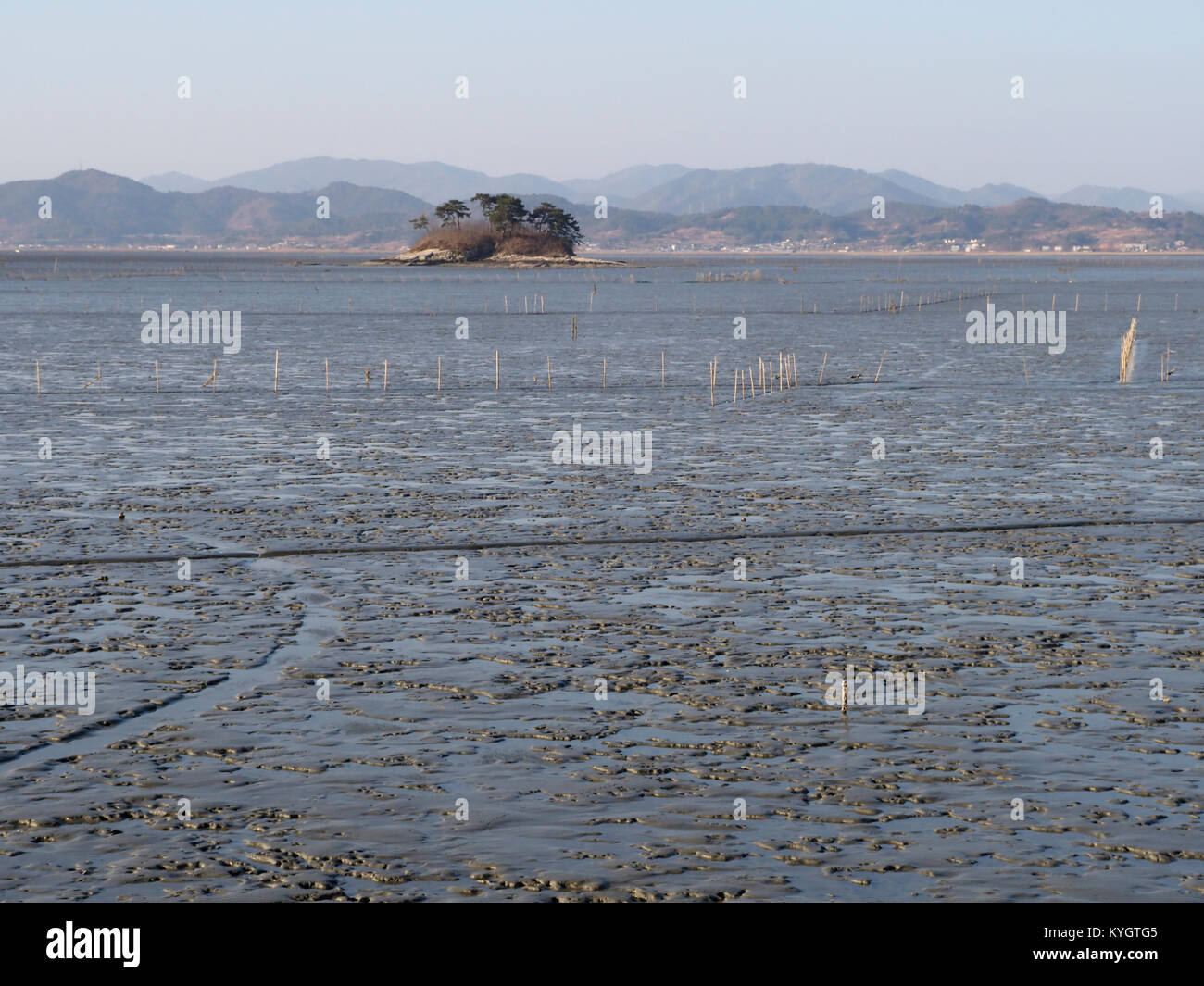 Mudflats in the Mokpo area, South Korea, January 2018 Stock Photo - Alamy