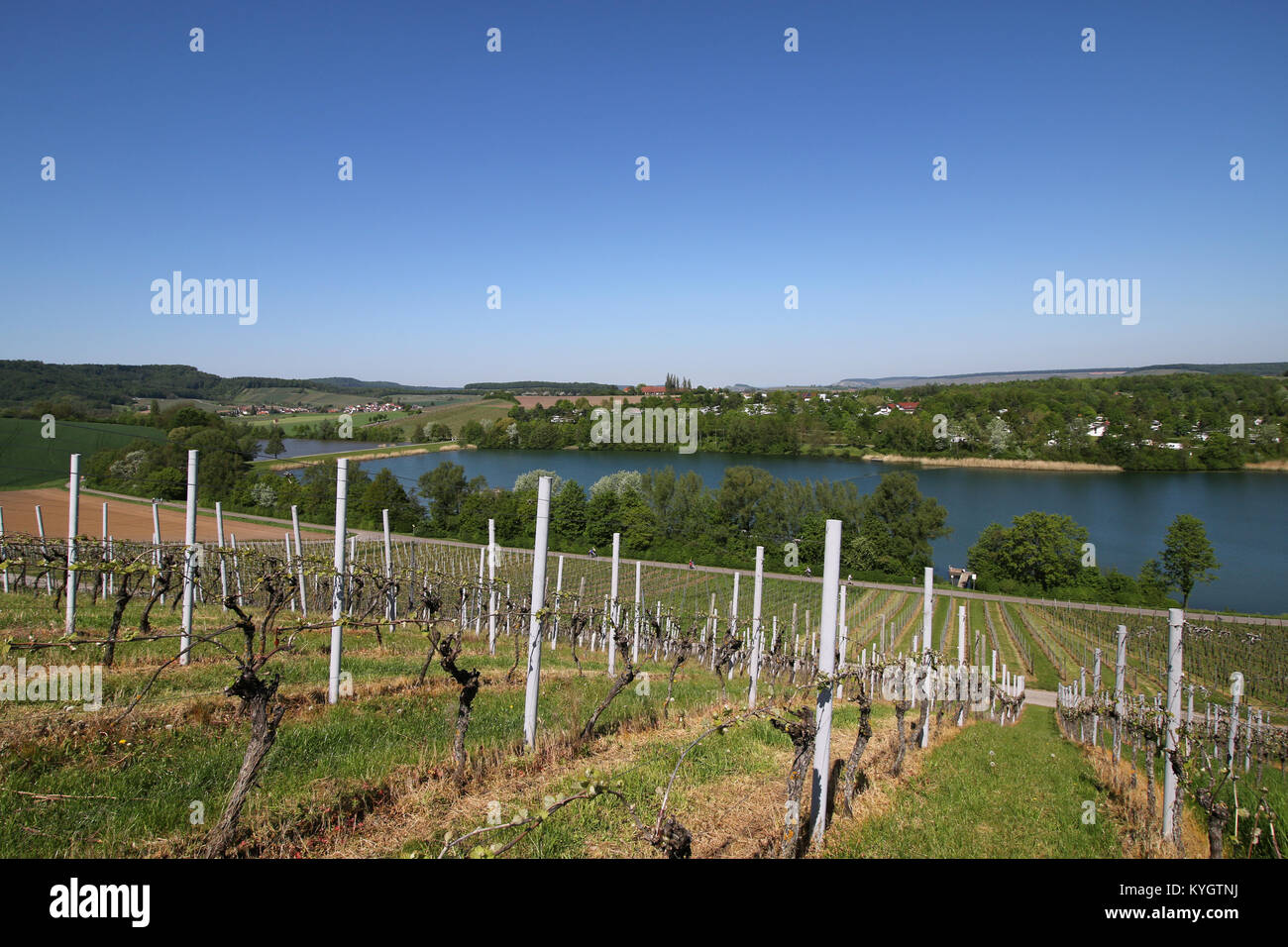 Rheinzuflsse In Baden Wrttemberg