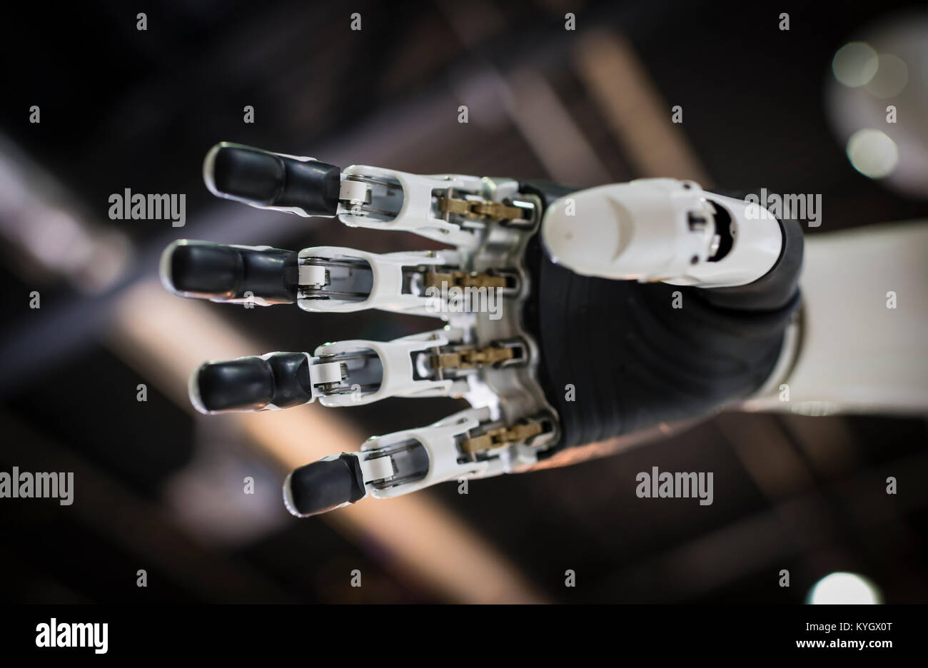 Prosthetic hand hi-res stock photography and images - Alamy