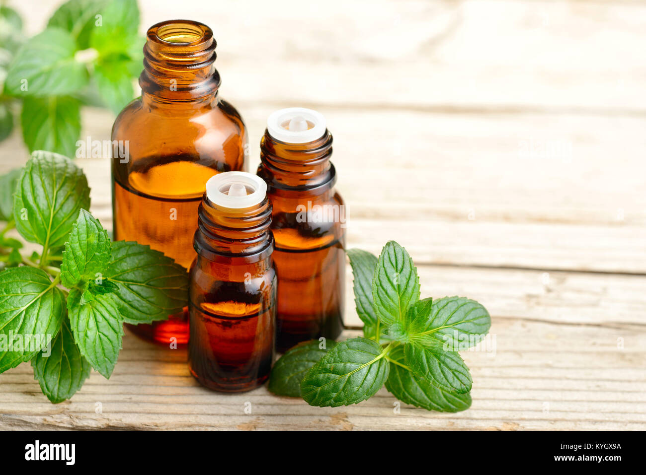 Mint Distillation High Resolution Stock Photography and Images - Alamy