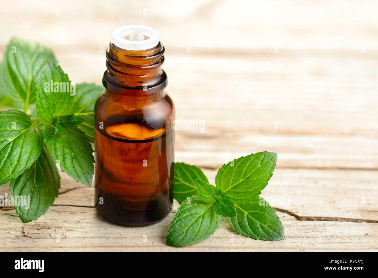 Mint distillation hi-res stock photography and images - Alamy