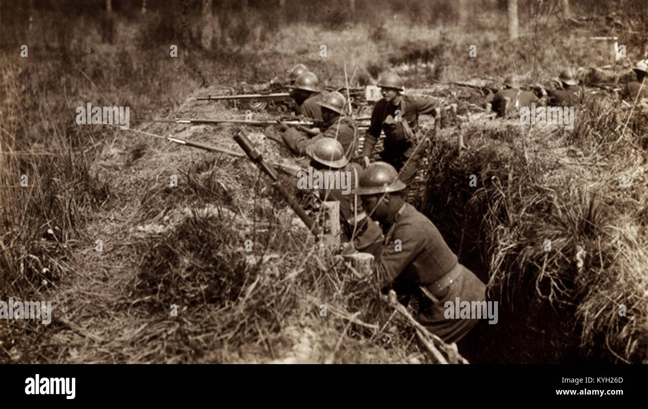 369th infantry regiment 1918 hi-res stock photography and images - Alamy