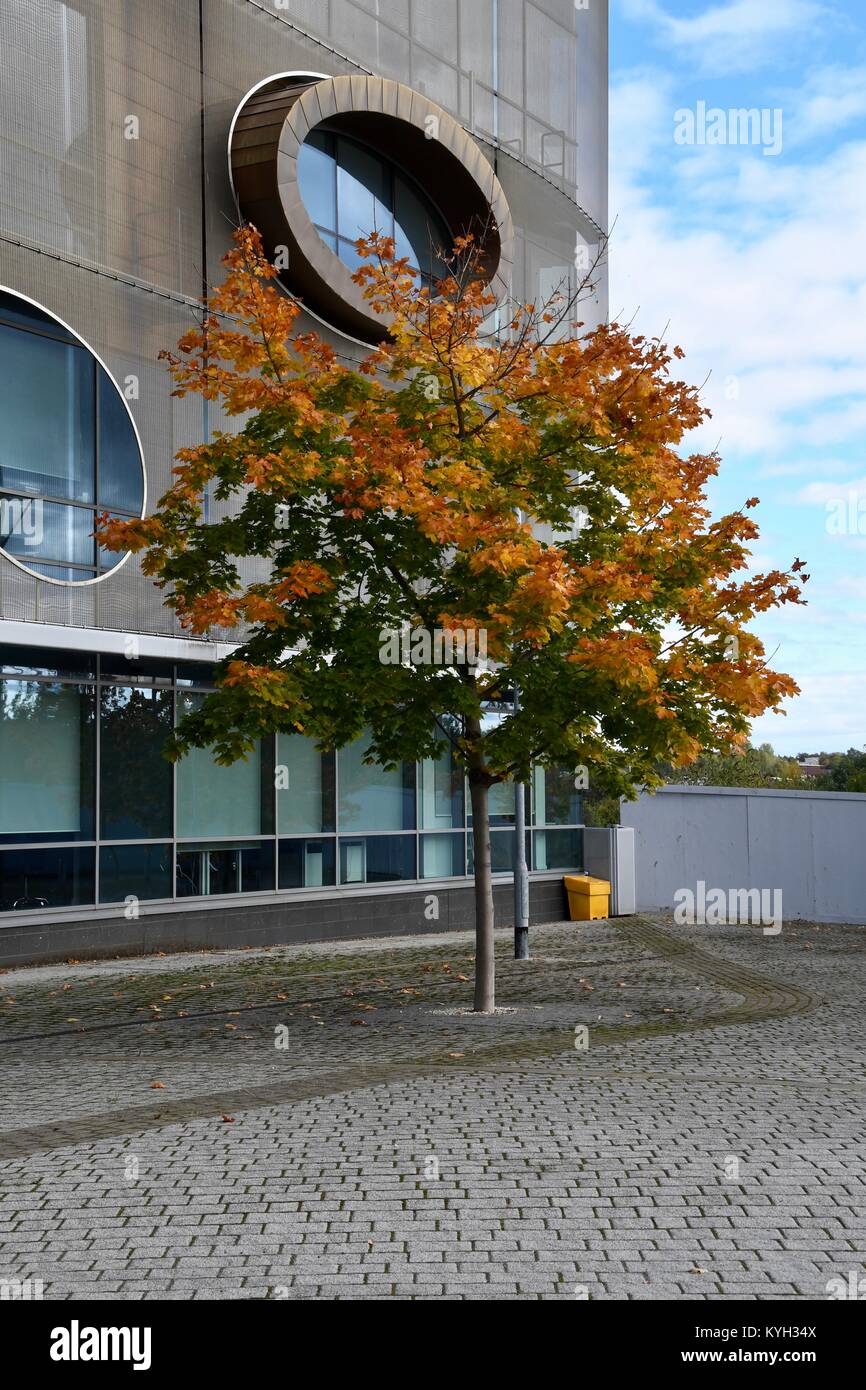 Modern design bin hi-res stock photography and images - Alamy