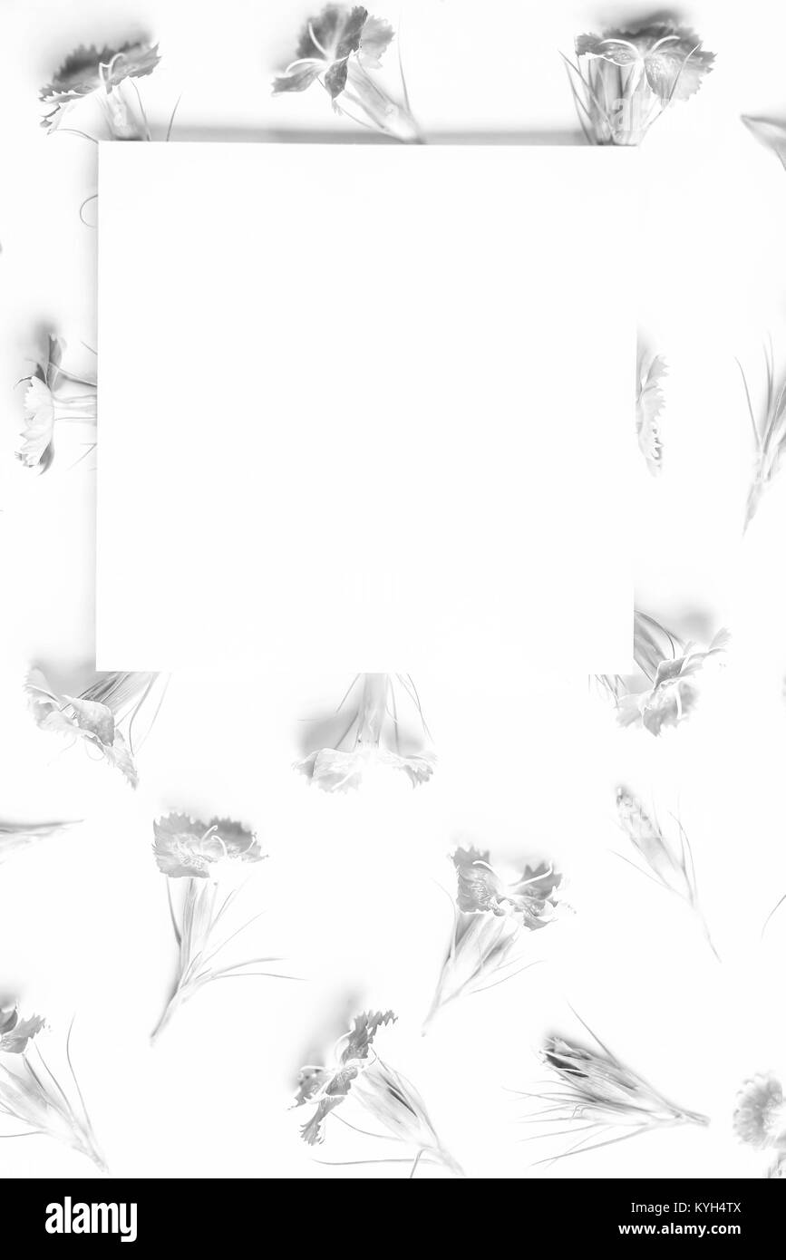 Minimal spring pattern Black and White Stock Photos & Images - Alamy