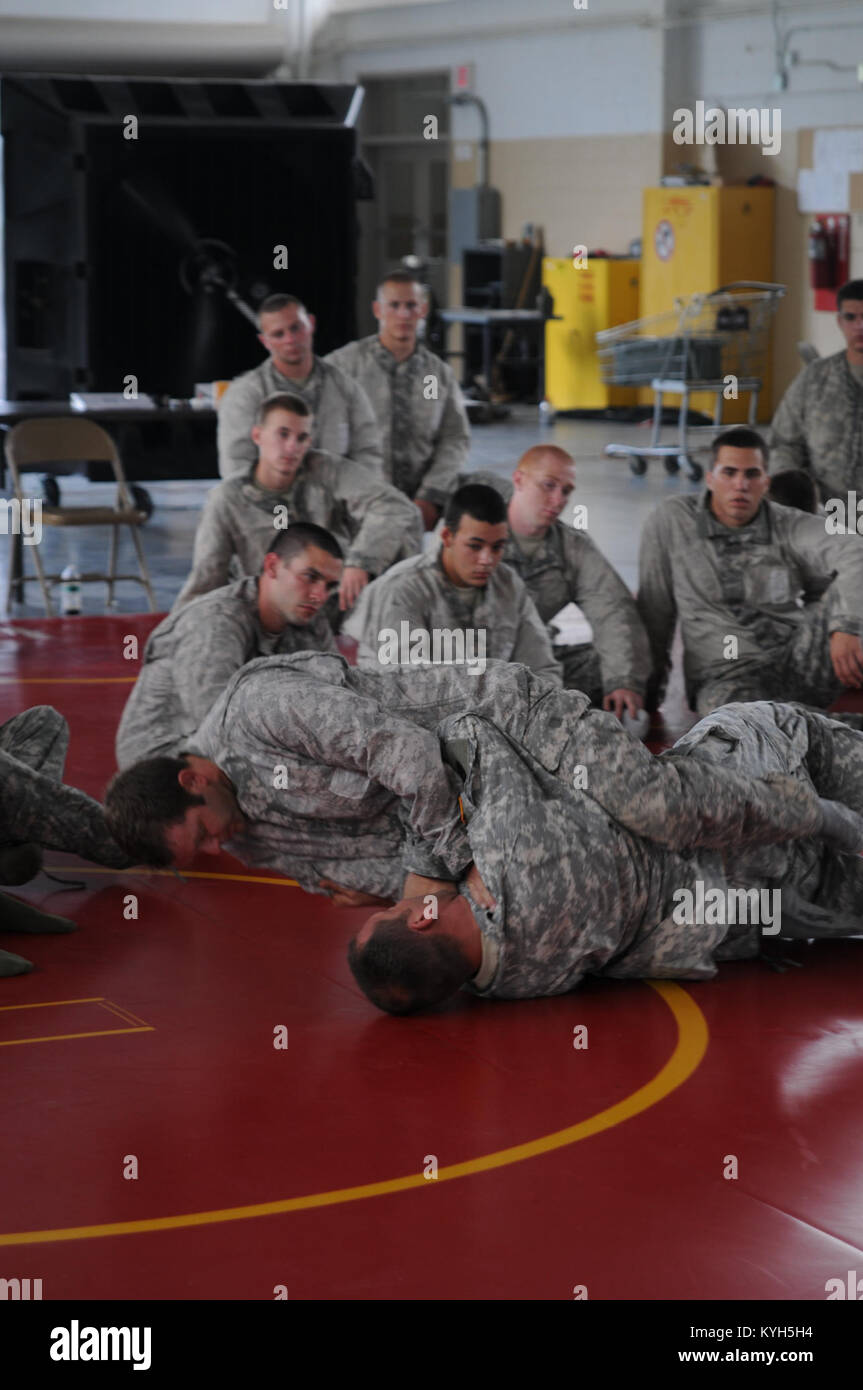 (Photo by: Sgt. David Bolton, Public Affairs Specialist, 133rd Mobile ...