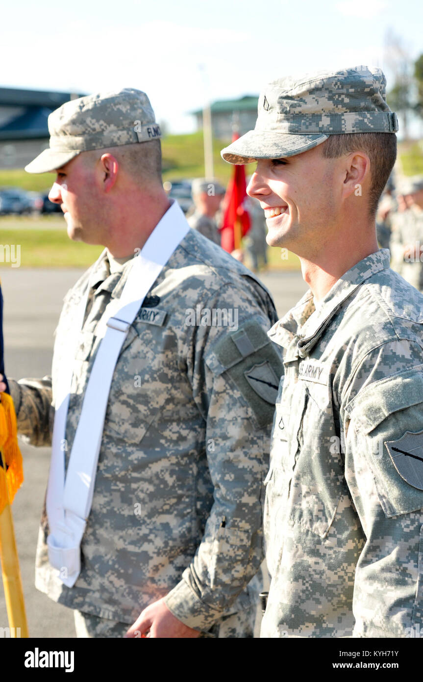 Troop of brent hi-res stock photography and images - Alamy
