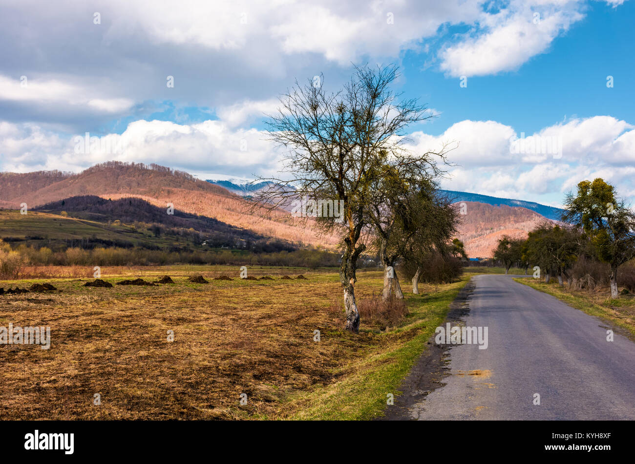 Landscape trees along country hi-res stock photography and images - Alamy
