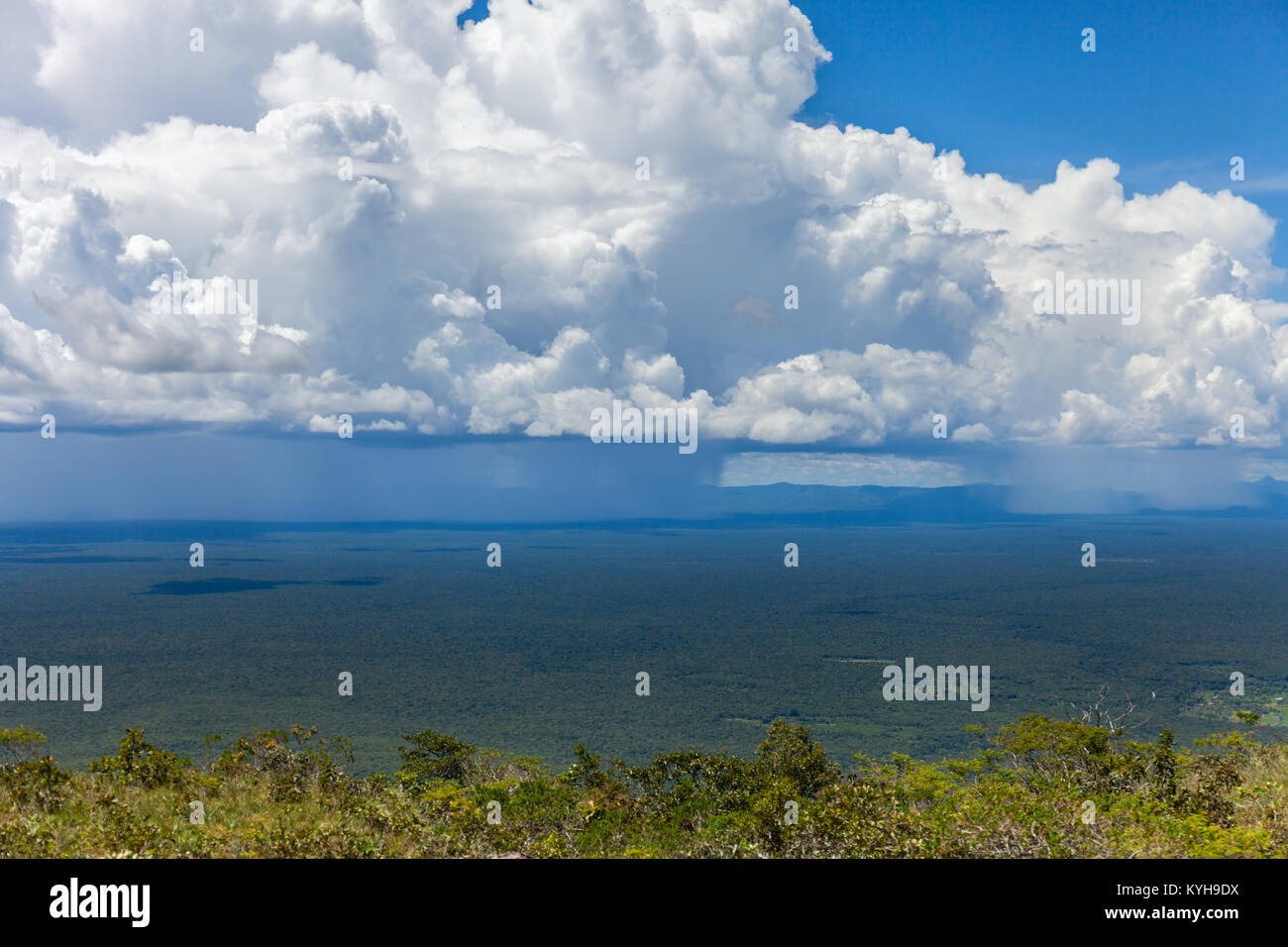 Rapidly approaching a tropical rainstorm passes through the rain forest ...