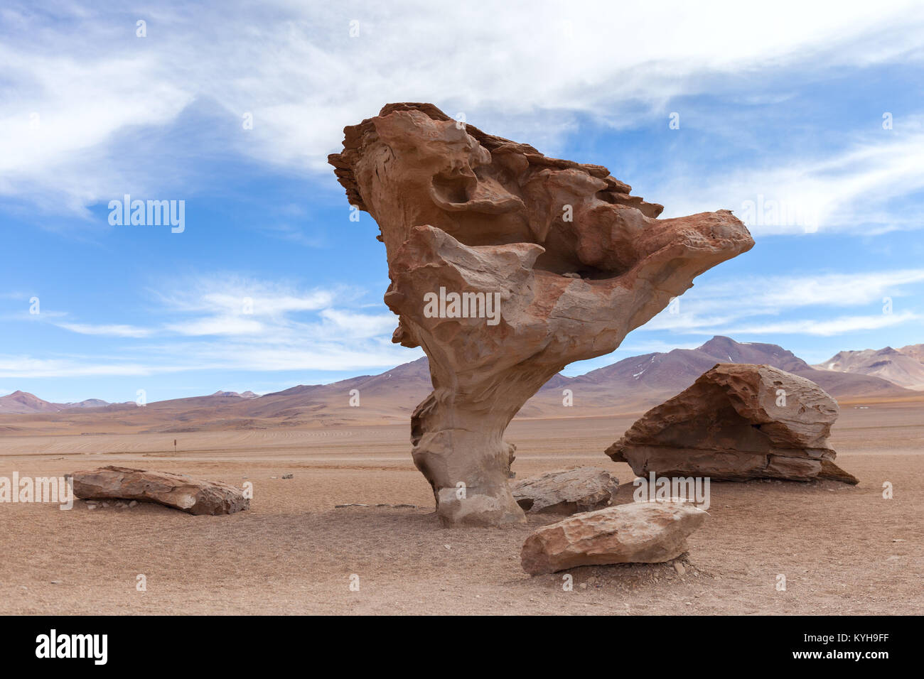 Stone tree on high desert Altiplano, Bolivia Stock Photo - Alamy