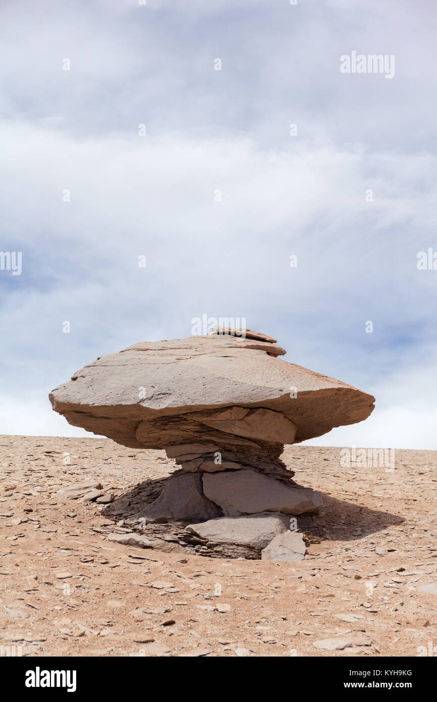 Stone tree on high desert Altiplano, Bolivia Stock Photo - Alamy