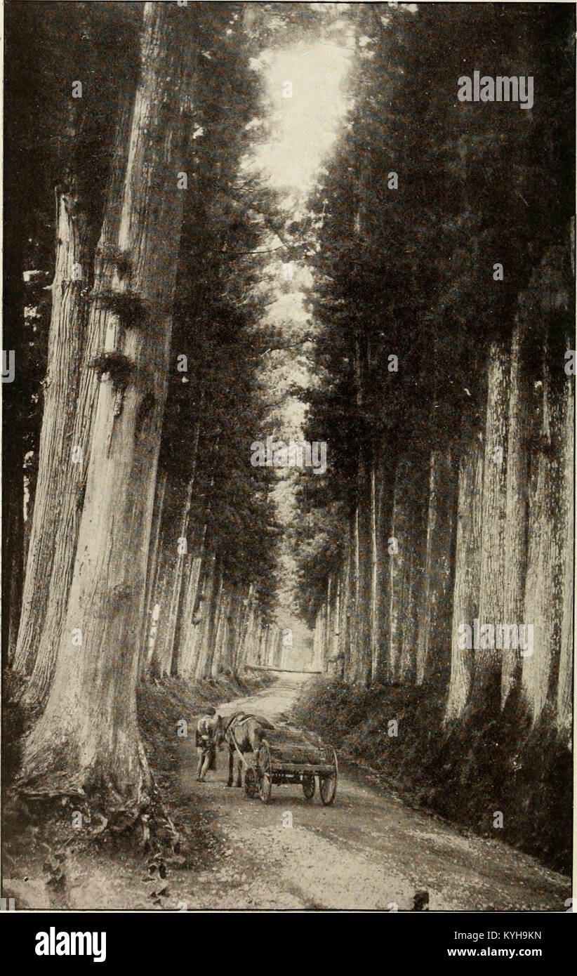 "The Japanese empire and its economic conditions" (1910 Stock Photo - Alamy