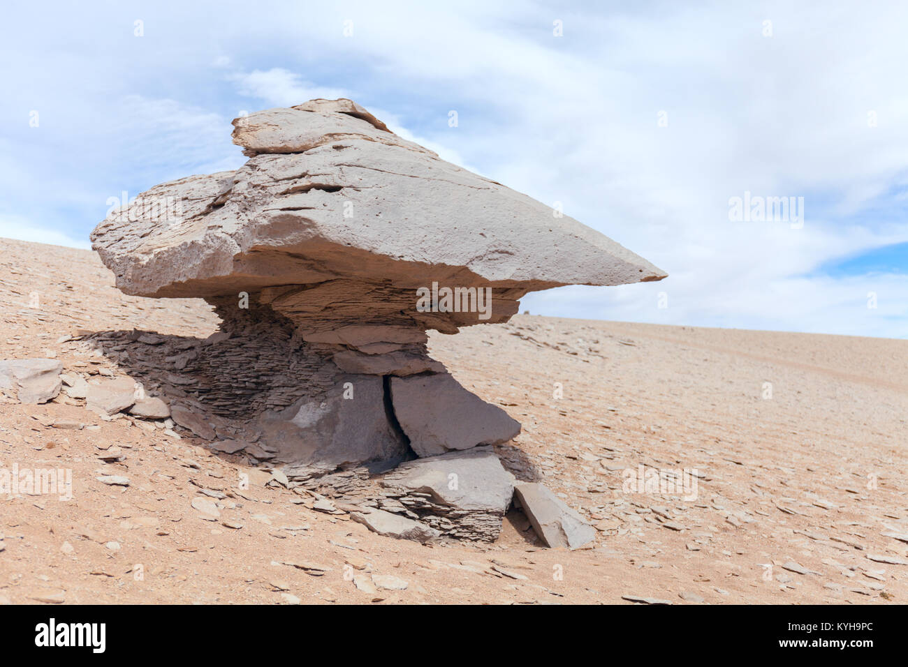 Stone tree on high desert Altiplano, Bolivia Stock Photo - Alamy