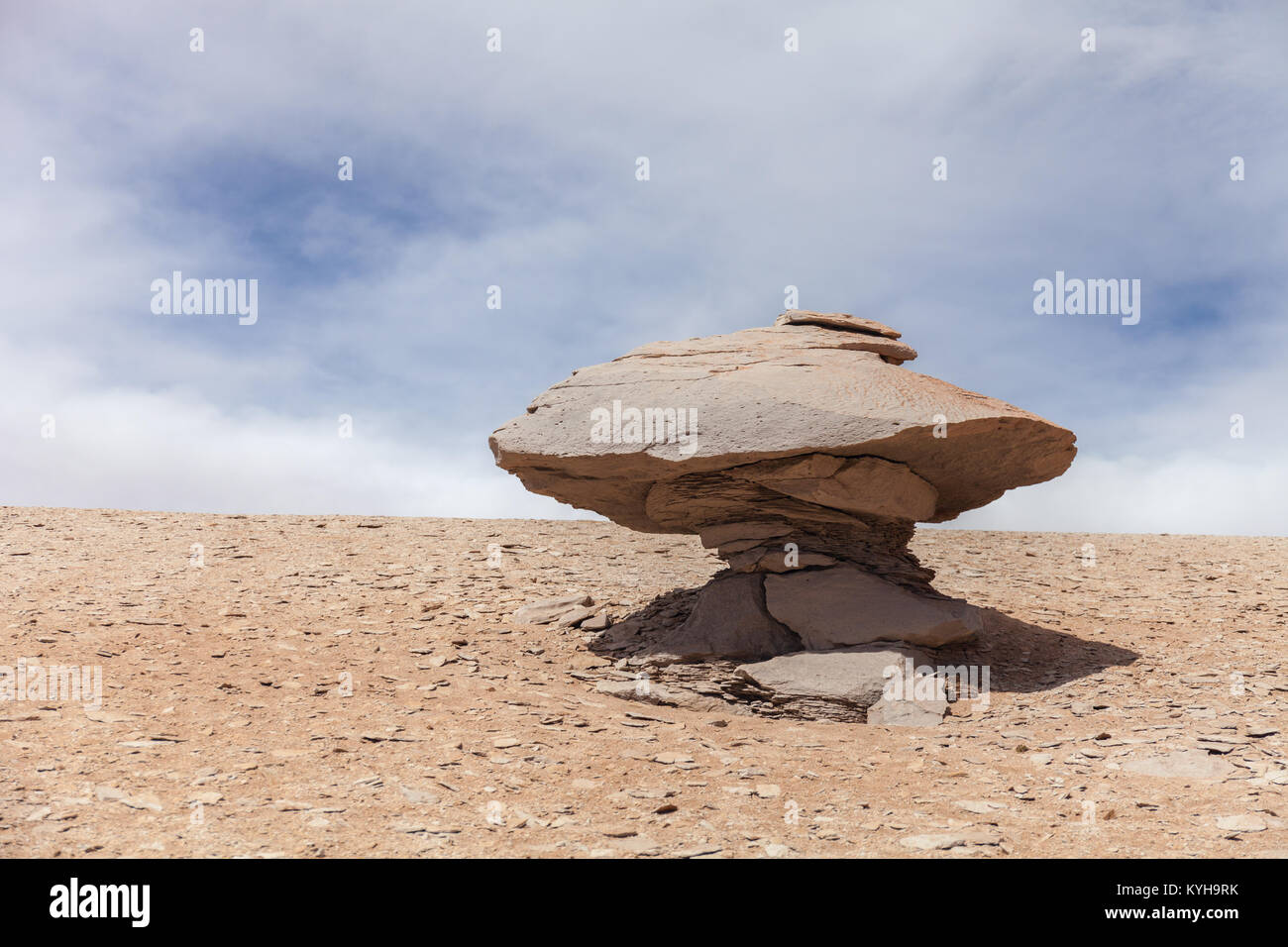 Stone tree bolivia hi-res stock photography and images - Alamy