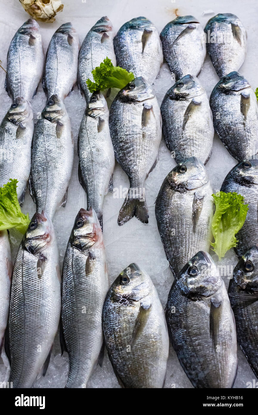 Variety of raw fresh fish. fillet on crushed ice. Close up with space ...