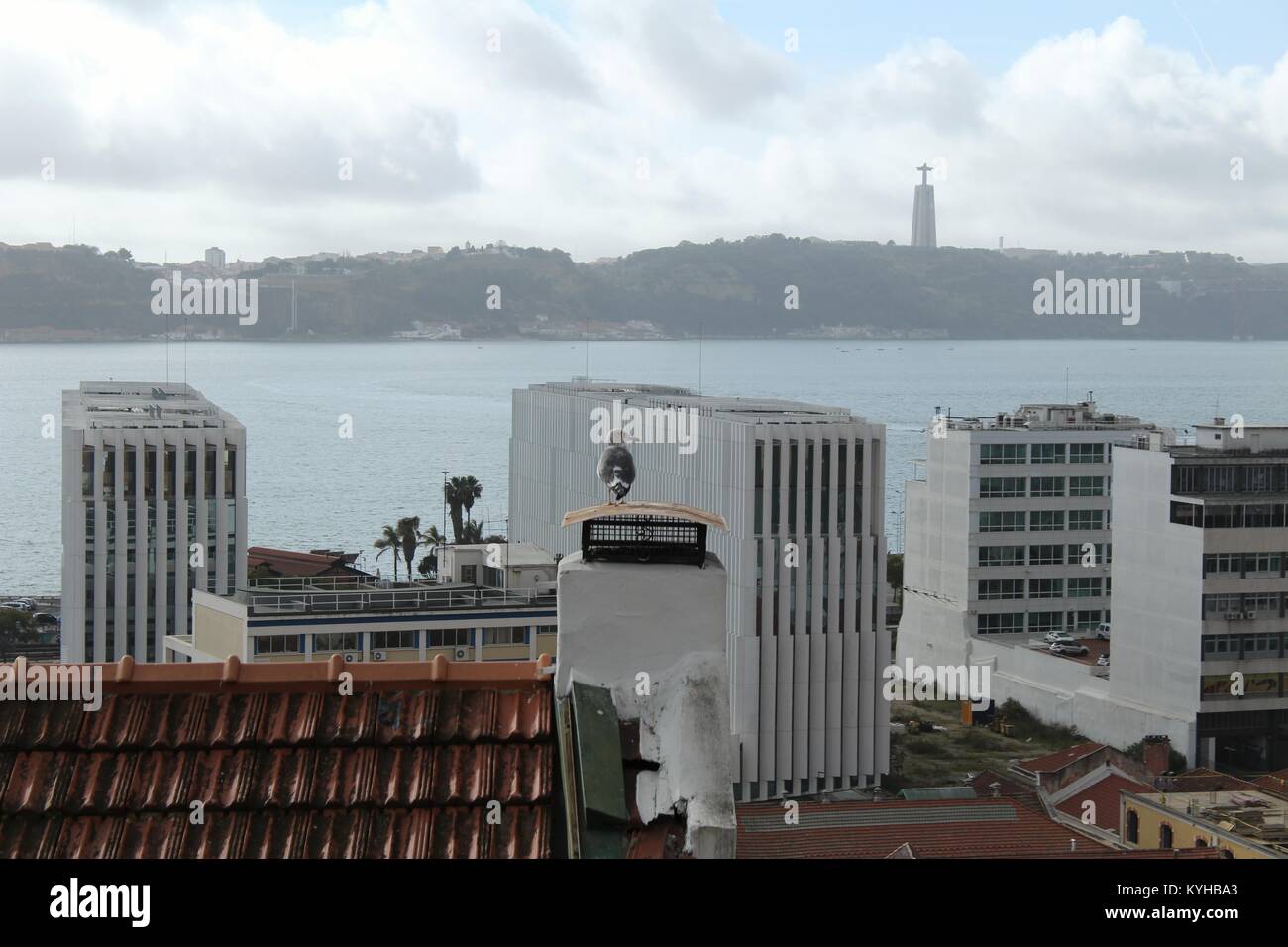 Panoramic view wonderful river cable hi-res stock photography and images - Alamy