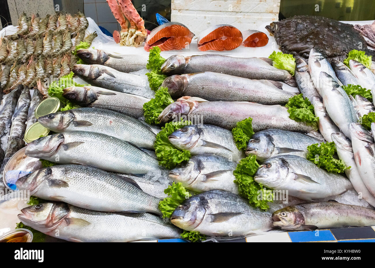 Variety of raw fresh fish. fillet on crushed ice. Close up with space ...
