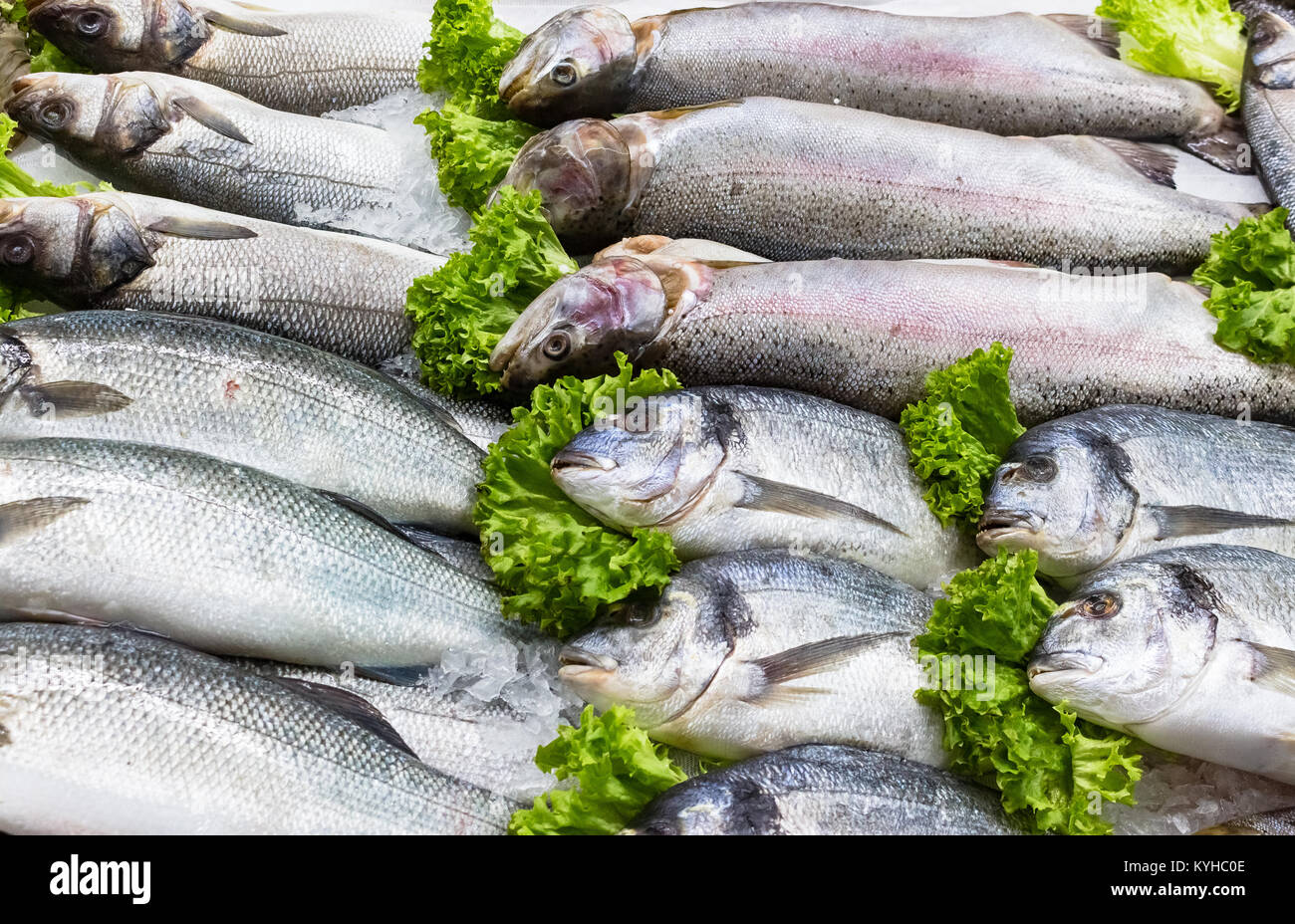 Variety of raw fresh fish. fillet on crushed ice. Close up with space ...
