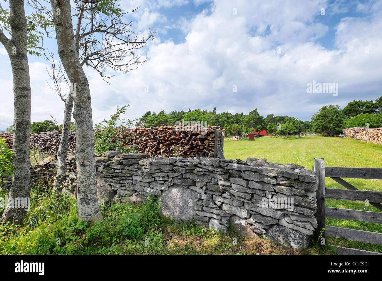 Swedish country landscape with old stone wall and stacked firewood ...