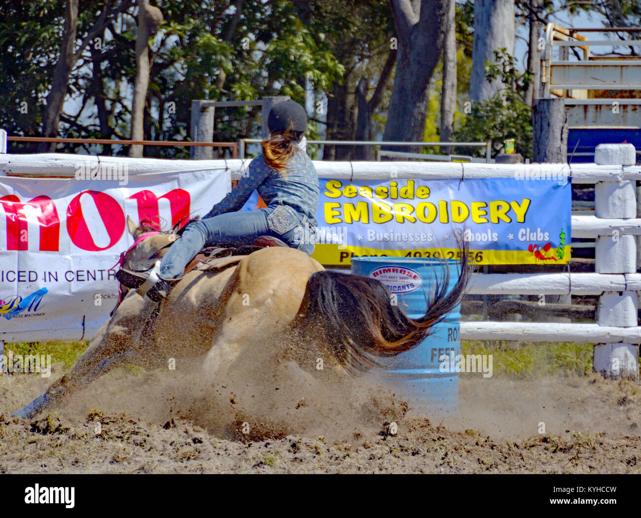 Rear view of barrel racing horse hi-res stock photography and images ...