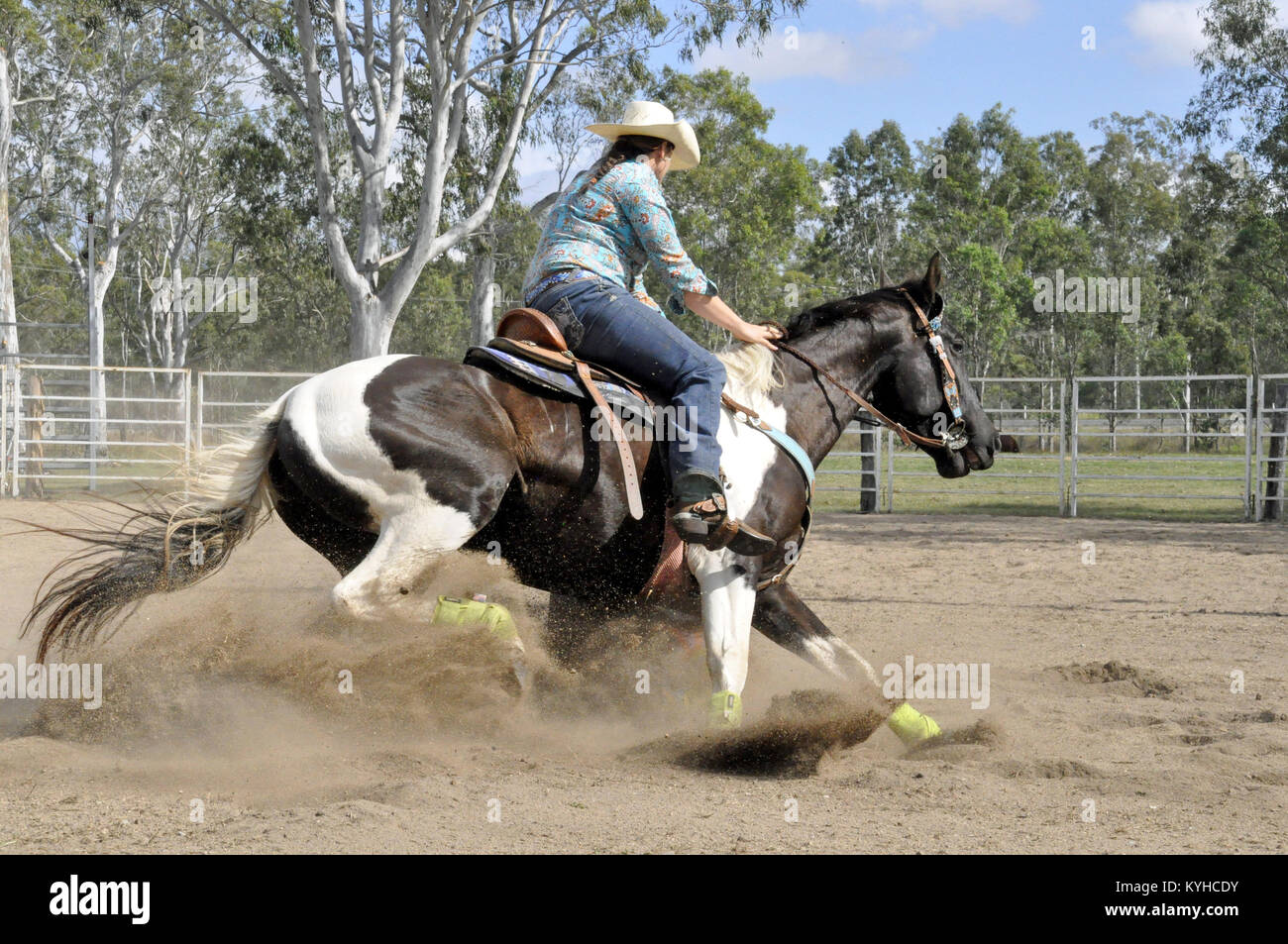 Barrel racing tack hi-res stock photography and images - Alamy
