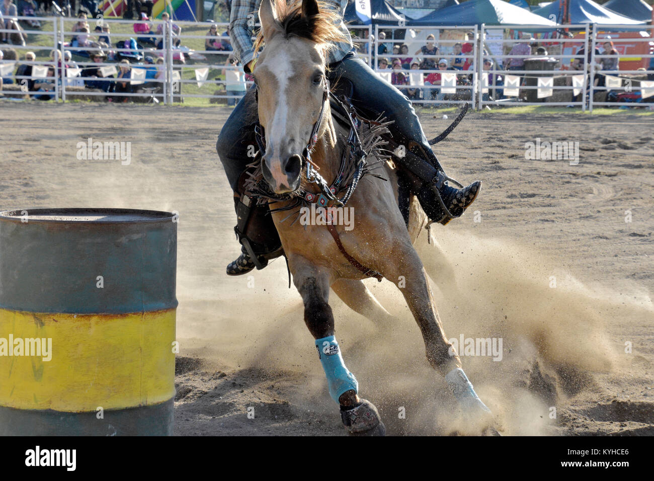 Cowgirls barrel racing hi-res stock photography and images - Alamy