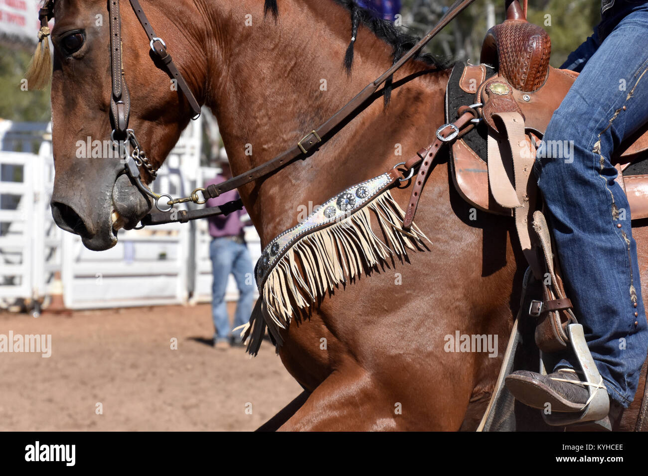 Cowgirls barrel racing hi-res stock photography and images - Alamy