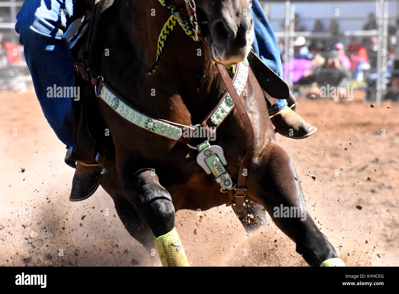 Barrel racing hi-res stock photography and images - Alamy