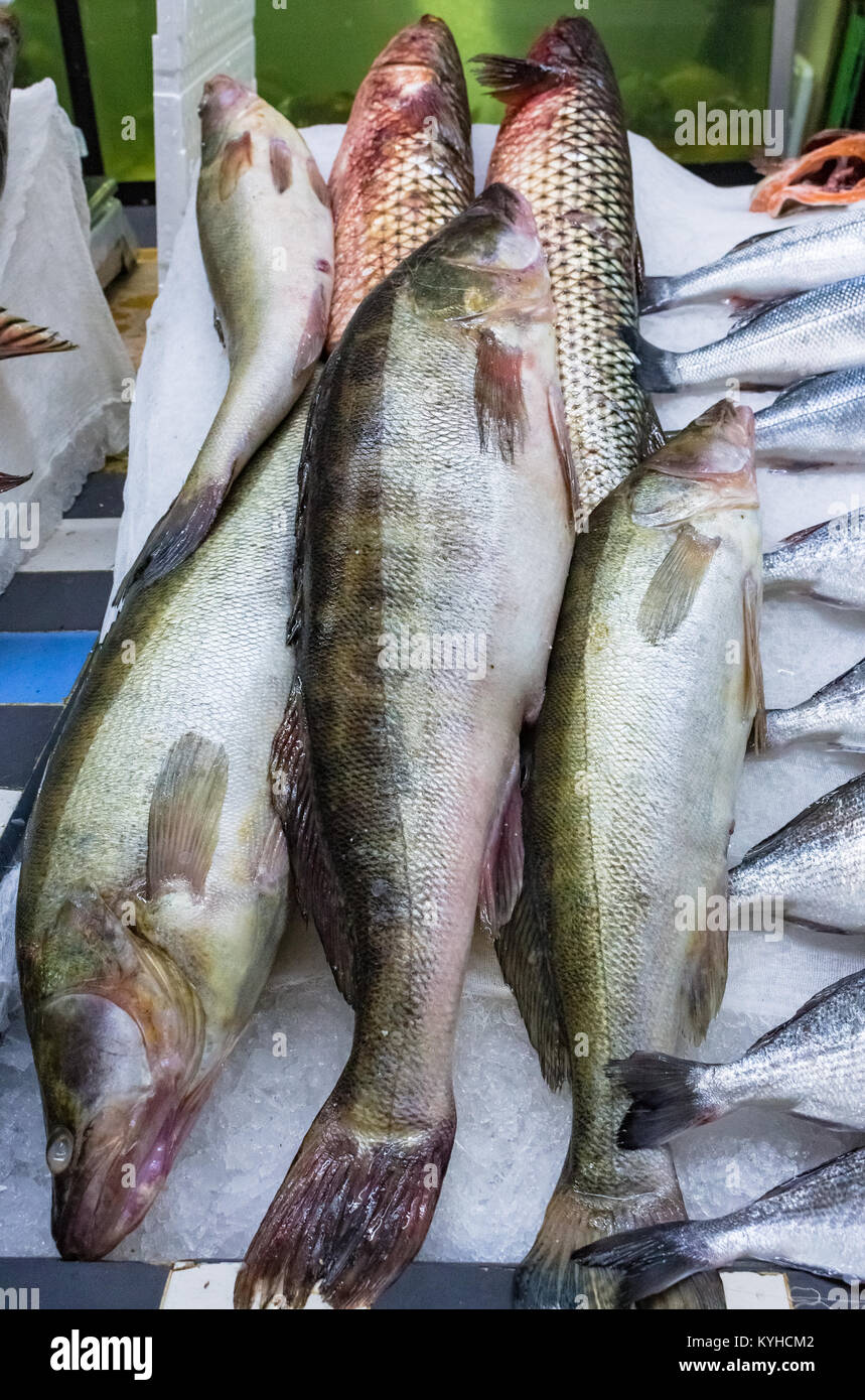 Variety of raw fresh fish. fillet on crushed ice. Close up with space ...