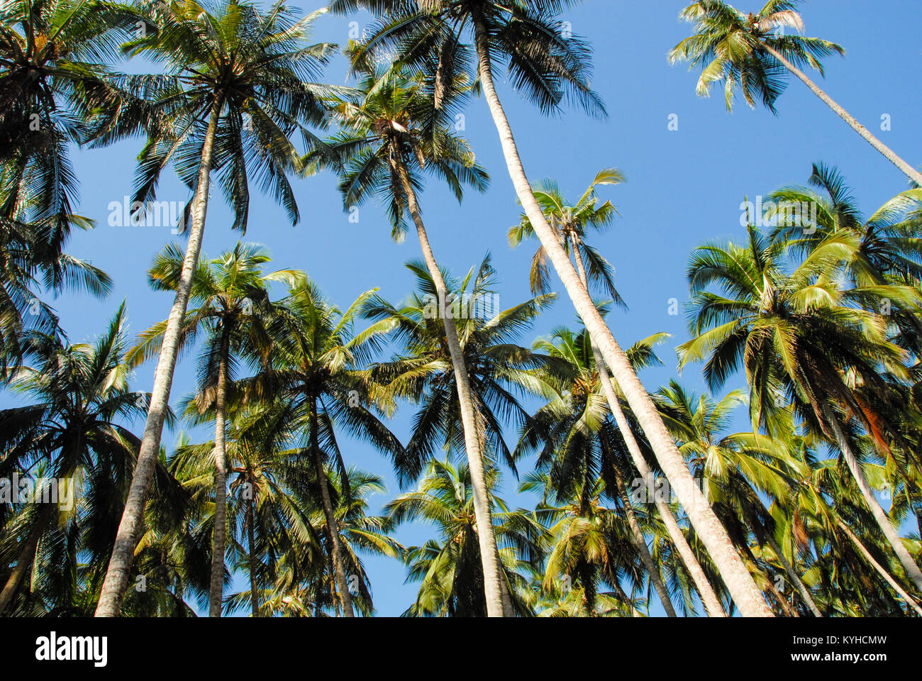 Zanzibar blue hi-res stock photography and images - Alamy