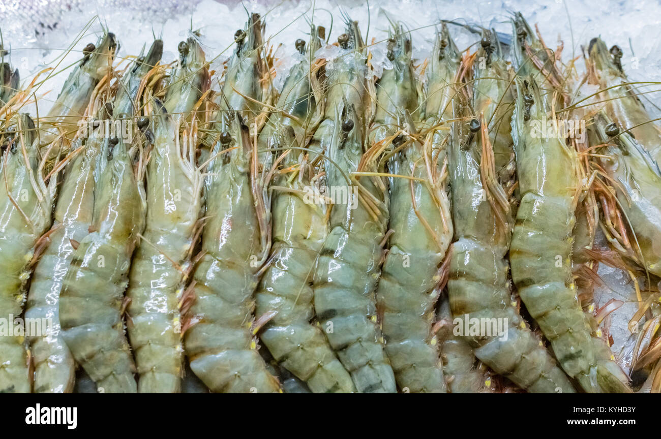 Cold water prawns hi-res stock photography and images - Alamy