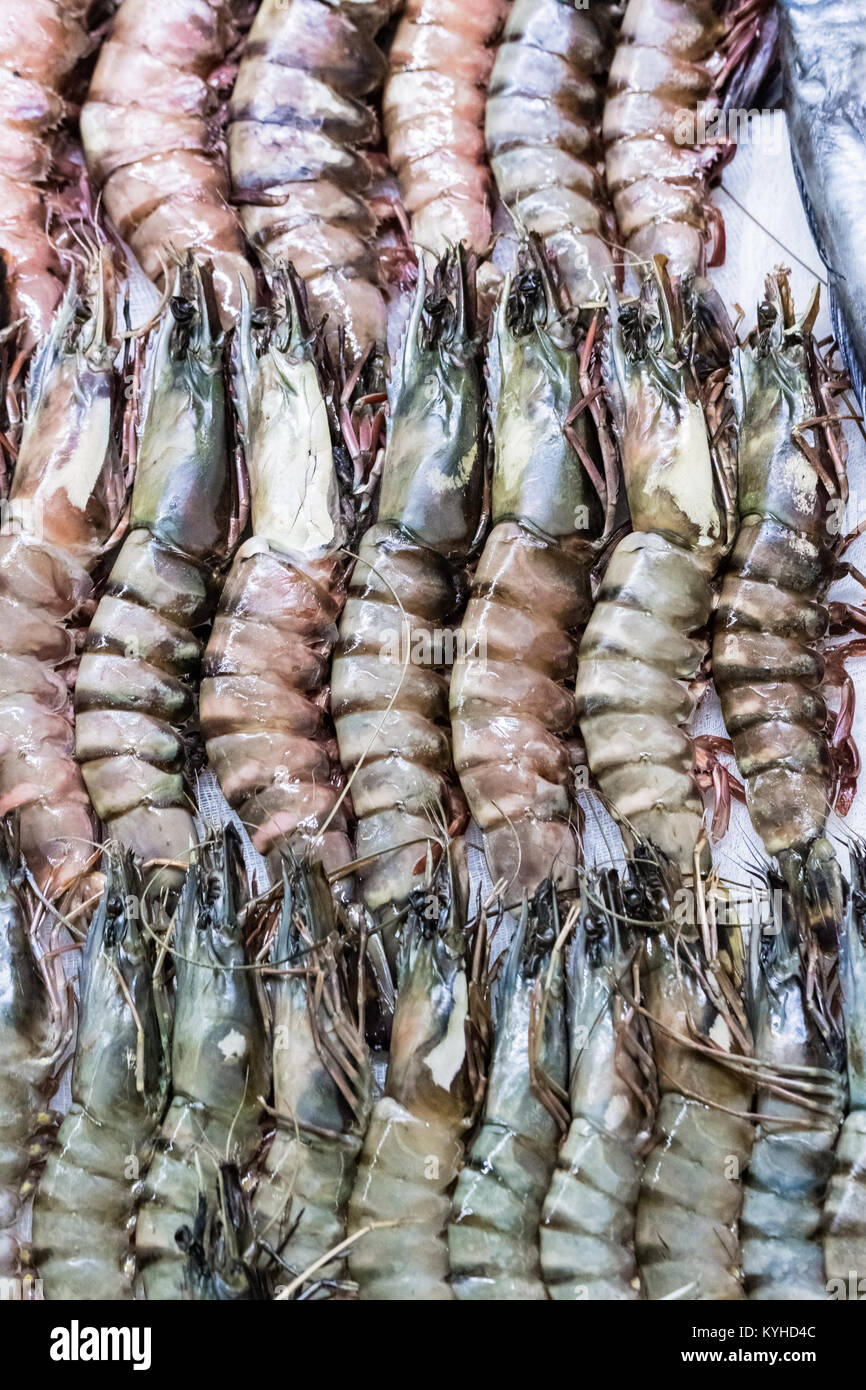 Cold water prawns hi-res stock photography and images - Alamy