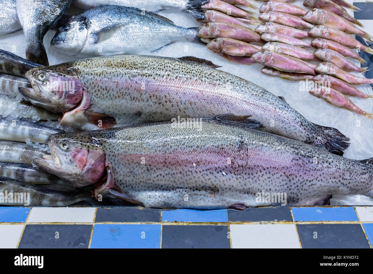 Seafood on ice at the fish market. fresh raw frozen trout fish Stock ...