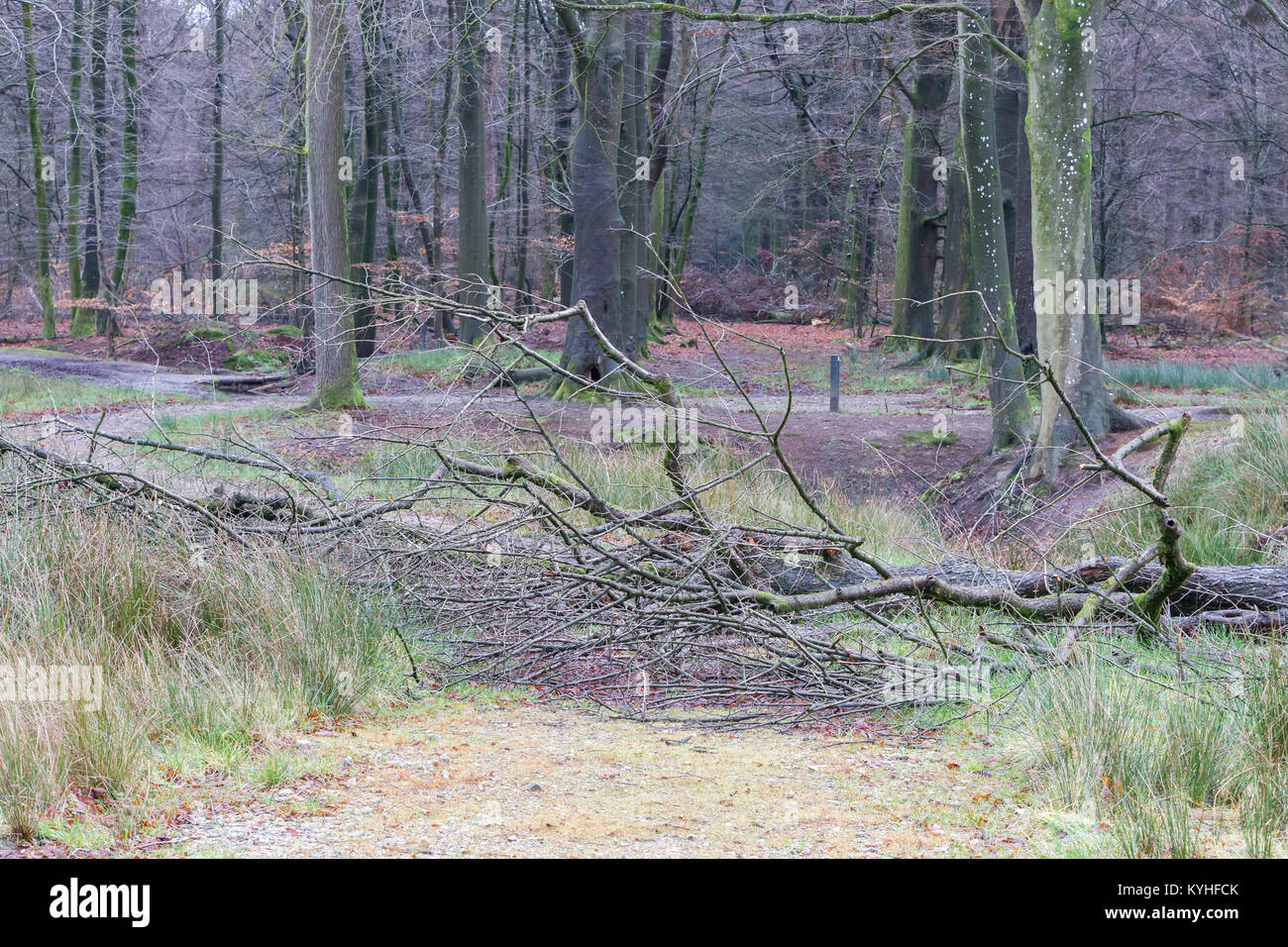 Storm blocks hi-res stock photography and images - Alamy