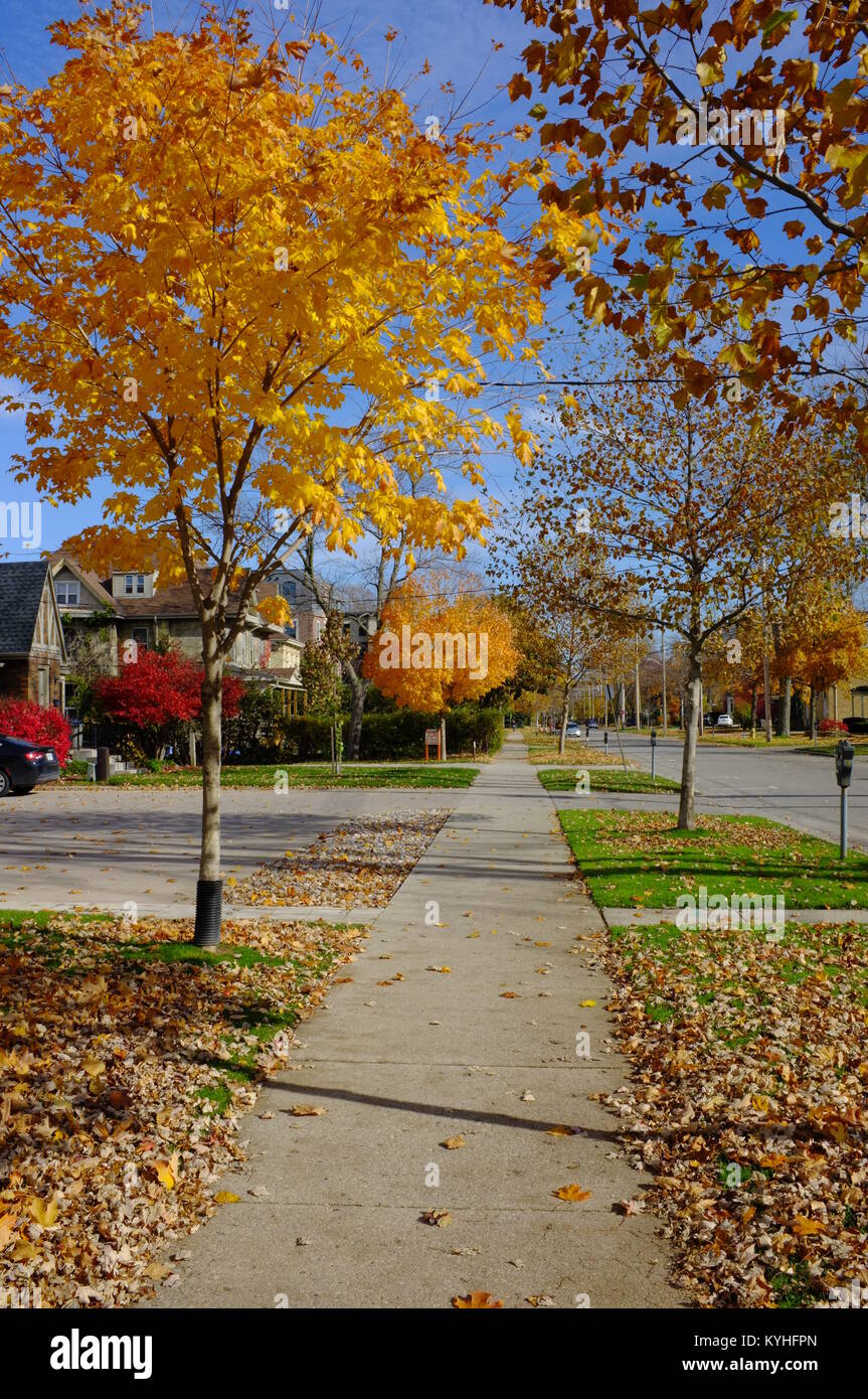 Autumnal colours in the Canadian city of London, Ontario Stock Photo ...